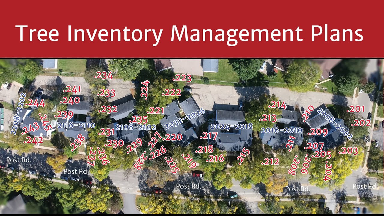 Tree Inventory Management Plans