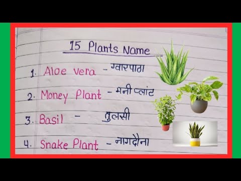 15 Plants Name ☘️ | Name of Plants in English with hindi meaning | Plant Name hindi and english