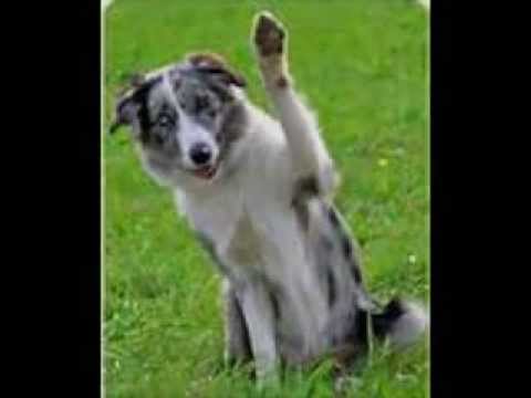 Hello and Goodbye in Albanian