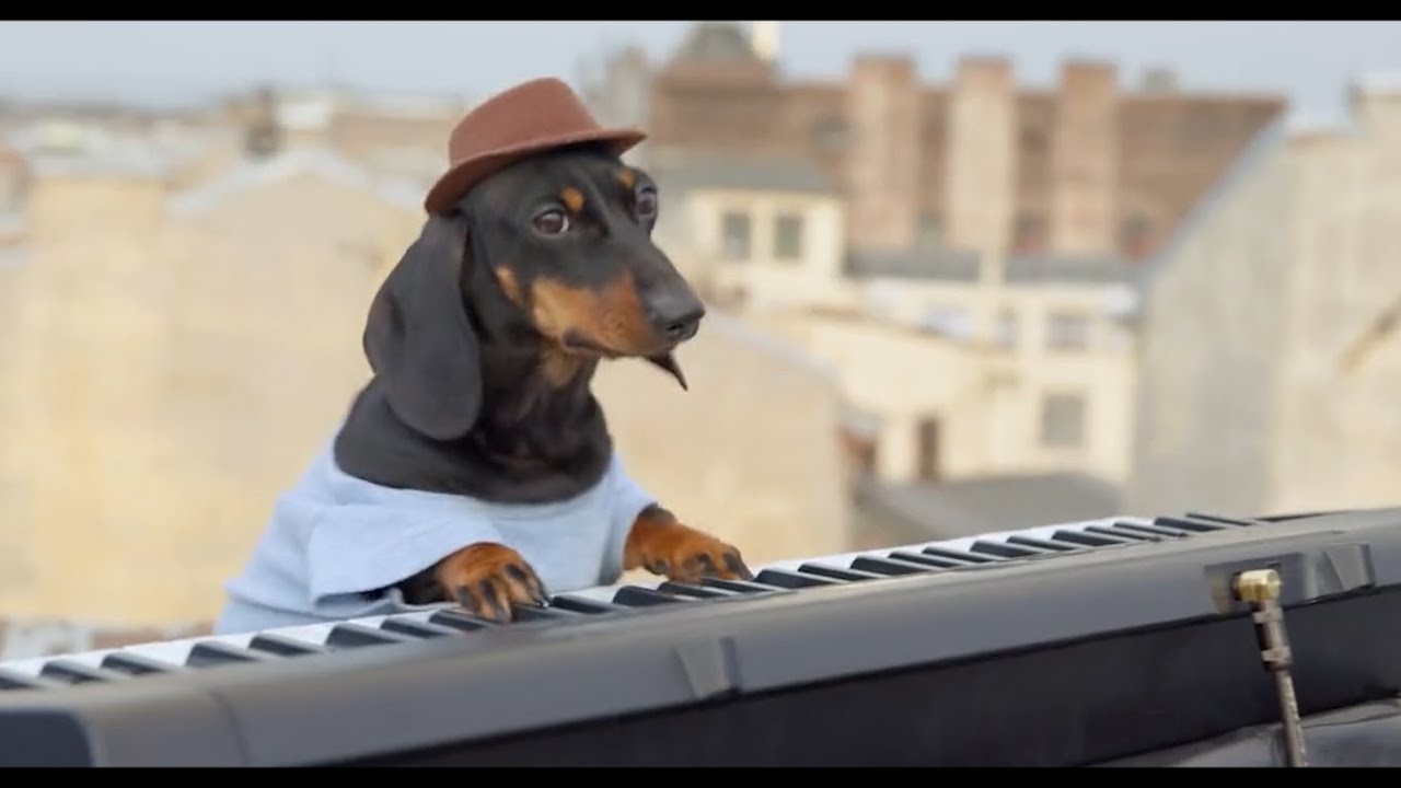 Random Videos Memes Compilation #10
