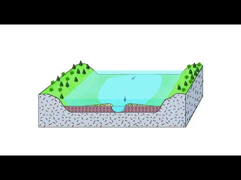 Floodplain Animation