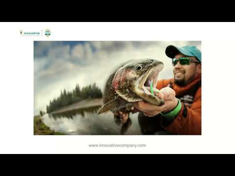 Understanding BOD & COD