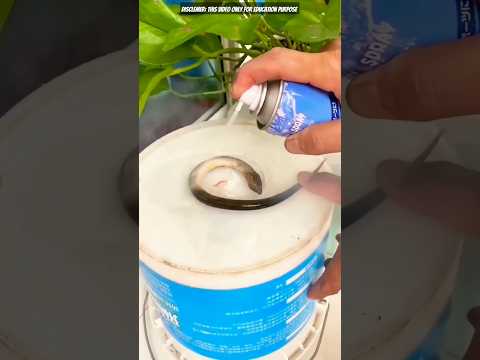 Japanese cooling sprey: This Was Unexpected!!