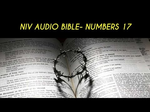 NUMBERS 17 NIV AUDIO BIBLE (with text)