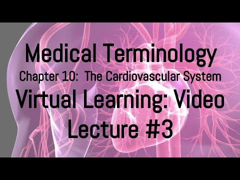 Medical Terminology | Virtual Learning Chapter 10 Video Lecture #3