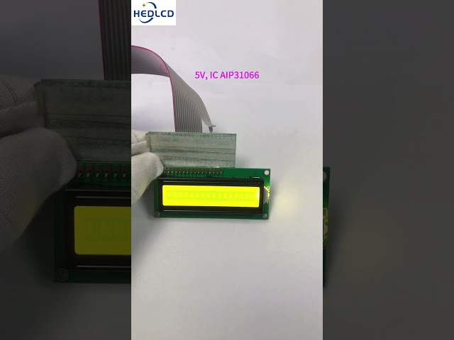Character LCD Module - 12X2 Character Display HED1202 Trader ...
