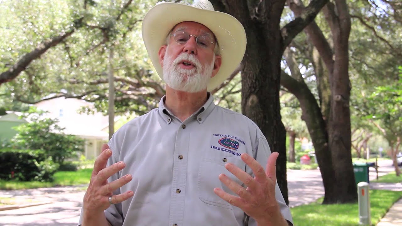 Community Involvement with Urban Forestry