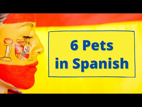 6 Pets in Spanish | Easy Spanish | Spanish for beginners