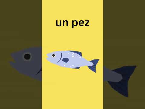 How to say common house pets in Spanish? | EspaƱol Link 13 #espaƱol #spanishlanguage