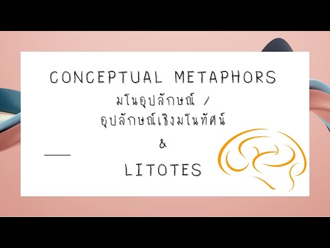 Conceptual Metaphors & Litotes