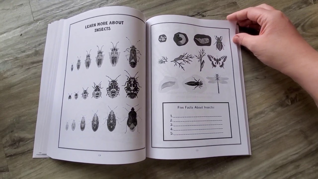 Peek Inside Nature Study & Outdoor Science Journal
