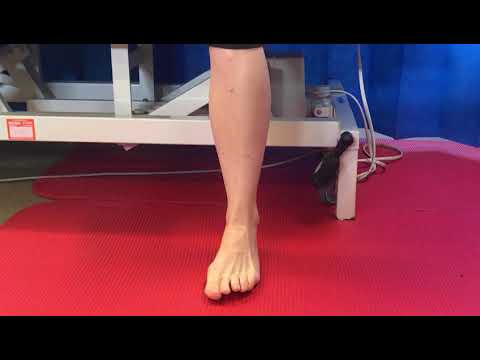 Ankle Exercise Range of Motion