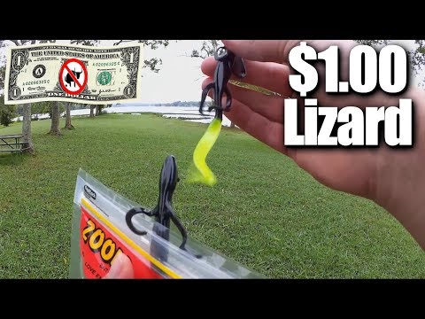 Fishing with a $1.00 Zoom Lizard - Walmart Clearance Bass Fishing