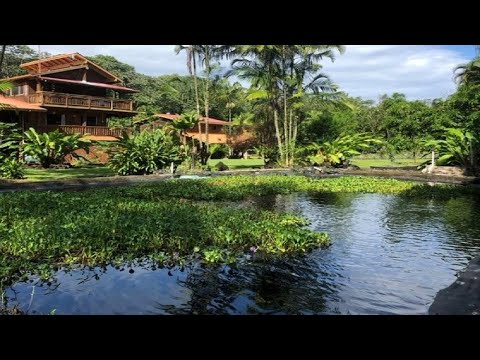 14-4825 SADILECK RD, PAHOA, HI Presented by Brent Wenner.