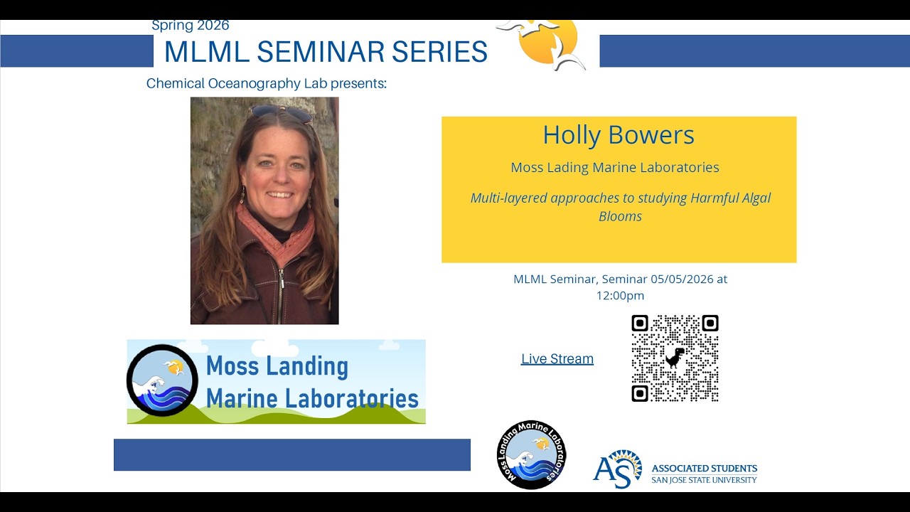 Holly Bowers presents: 