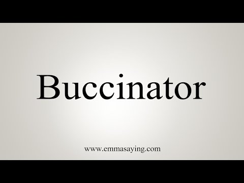 How To Say Buccinator