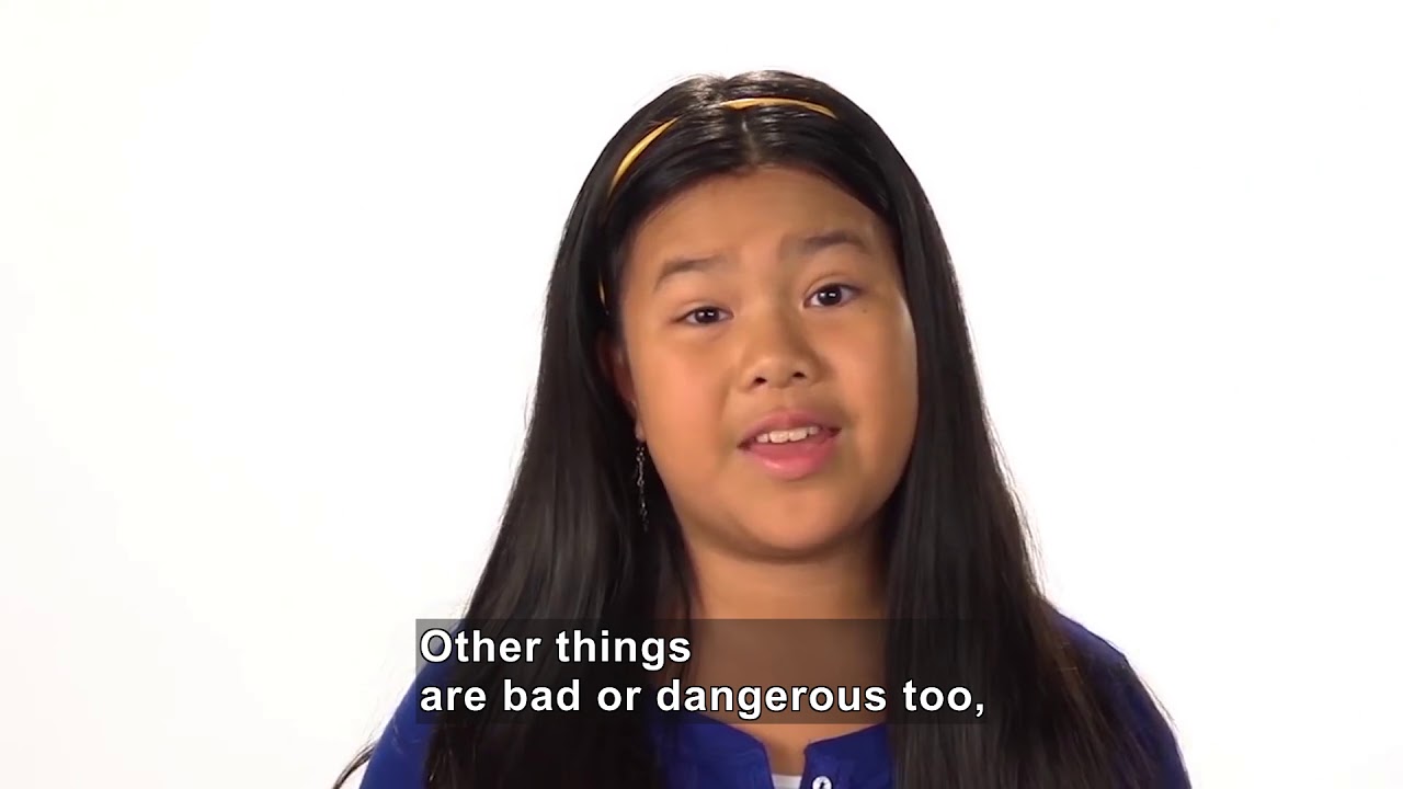 Disaster Dodgers: Introduction to Emergency Planning (Accessible Preview)