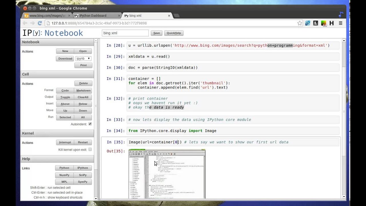 Python Tutorial - Parsing Bing XML Data and Display Image Using IPython Notebook