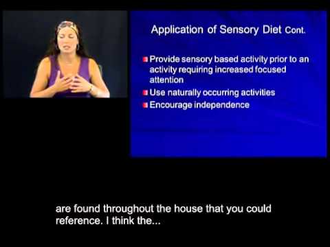 Sensory Processing (Part 2 of 2) - Segment C