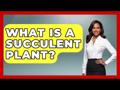 What Is A Succulent Plant? - The Plant Enthusiast