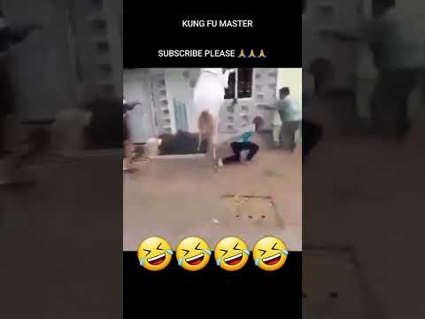 HEBATNYA SAPI KUNG FU..... COBA TAHAN TAWA... 🤣🤣🤣 #shorts #funny #lucu