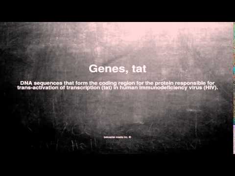 Medical vocabulary: What does Genes, tat mean