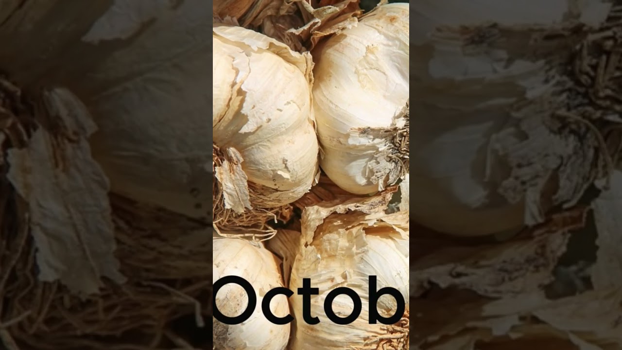 #October planting calendar, #best days to plant above and below ground crops,