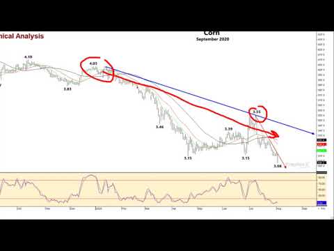 September Corn Chart 8-4-20 | Heartland Farm Partners