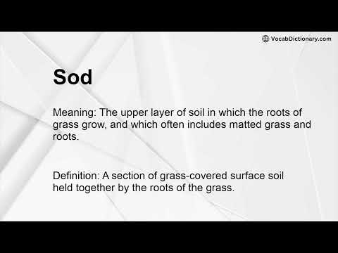 Sod Meaning