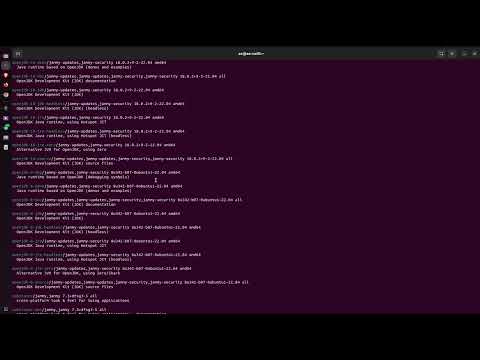 How to install java 17 (openJdk17) on Lunix ubuntu with APT