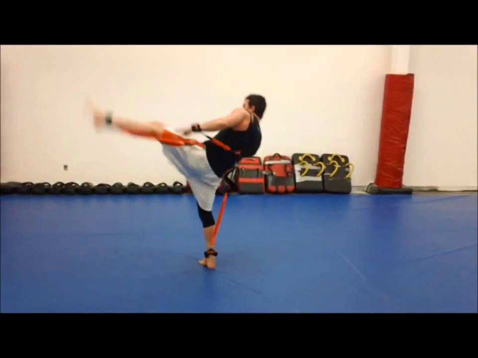 Introducing the  Python Striker -    MMA Speed Training