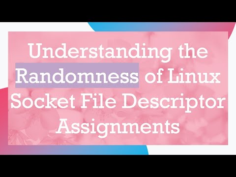 Understanding the Randomness of Linux Socket File Descriptor Assignments