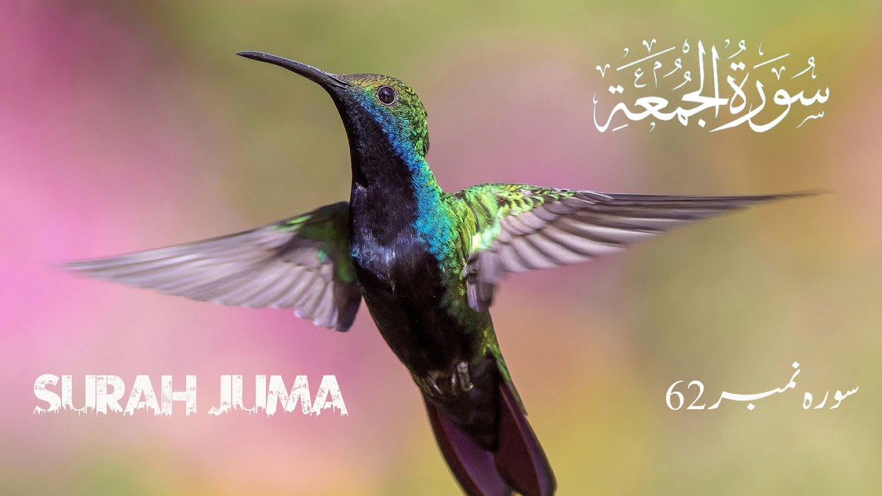 Surah Al Jumu ah Friday Surah Jumah Full With Arabic Text HD