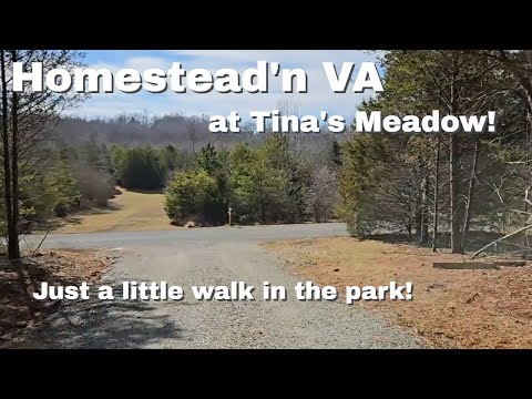 A walk around Tina's Meadow and a look at future projects!