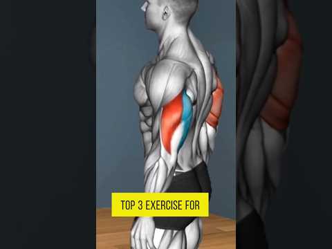 Building Strong Triceps: Top 3 Exercises for Tricep Long Head #triceps #exercise
