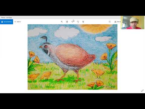 How to draw birds in their habitat - for kids
