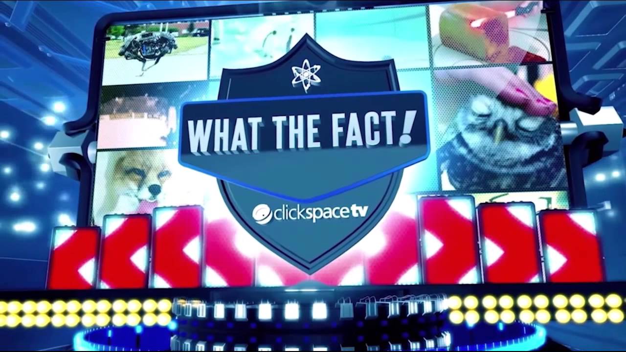 Clickspace TV Entertainment - What The Fact!
