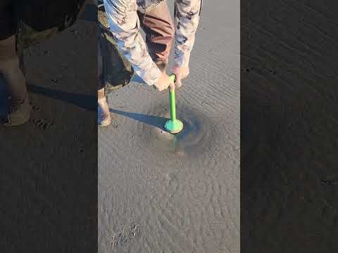 Stop Breaking Clams; Do This Instead!