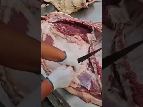 Pork and fat layers separated #butcher #chef #meatcutting #tips #viralvideo