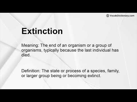 Extinction Meaning