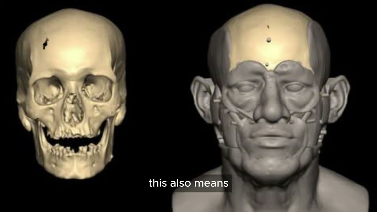 Ancient Egyptian Genome Sequenced, Reveali... | Gaya One