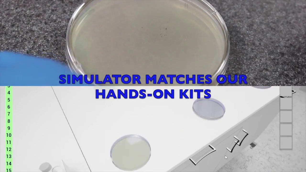Carolina Biotechnology Simulator Demonstration