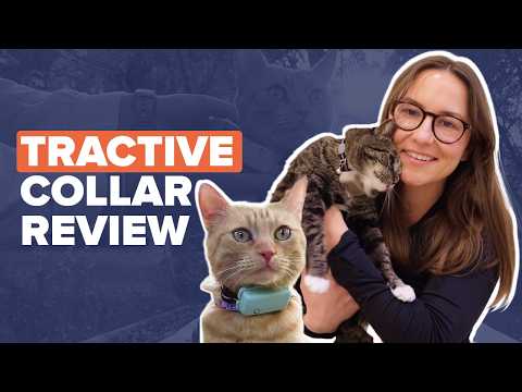 Smart Cat Tracker Review 2026: Top 4 GPS Collars Tested & Compared