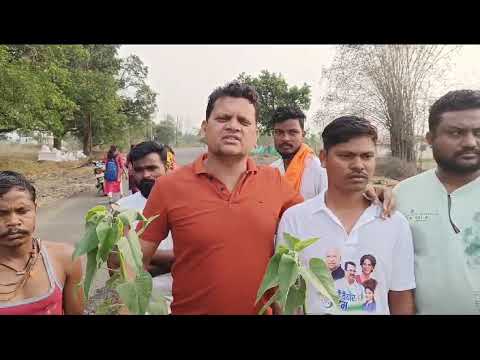 खेडी ते गोंडपिपरी रस्ताच्या खड्ड्यामध्ये बेशरमाचे झाड लावून युवक ...