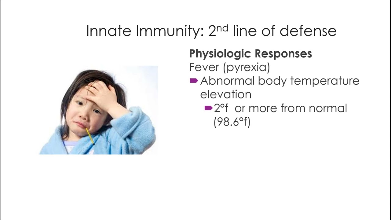 Understanding the Innate Immune System: Inflammation and Fever | Galaxy.ai