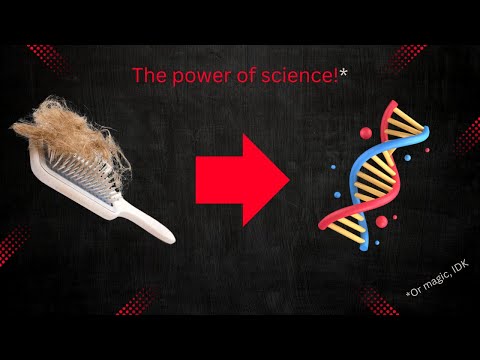 My Experience with the 5Strands Food Test Step One– Review