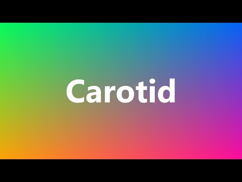Carotid - Medical Meaning
