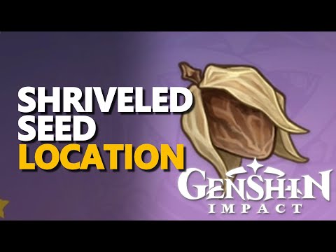 Shriveled Seed Genshin Impact