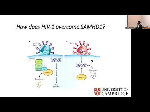 Cell cycle regulation in macrophages and viral infection by Ravindra Gupta - Lister Prize Lecture