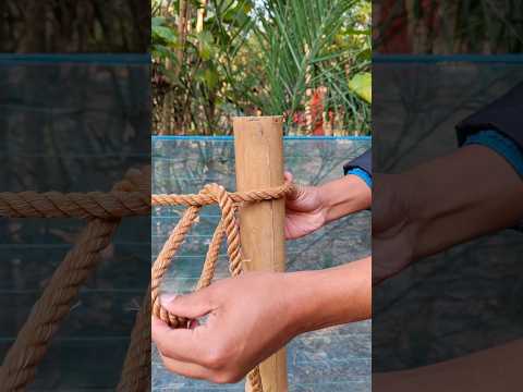 I believe! This knot is very effective and easy